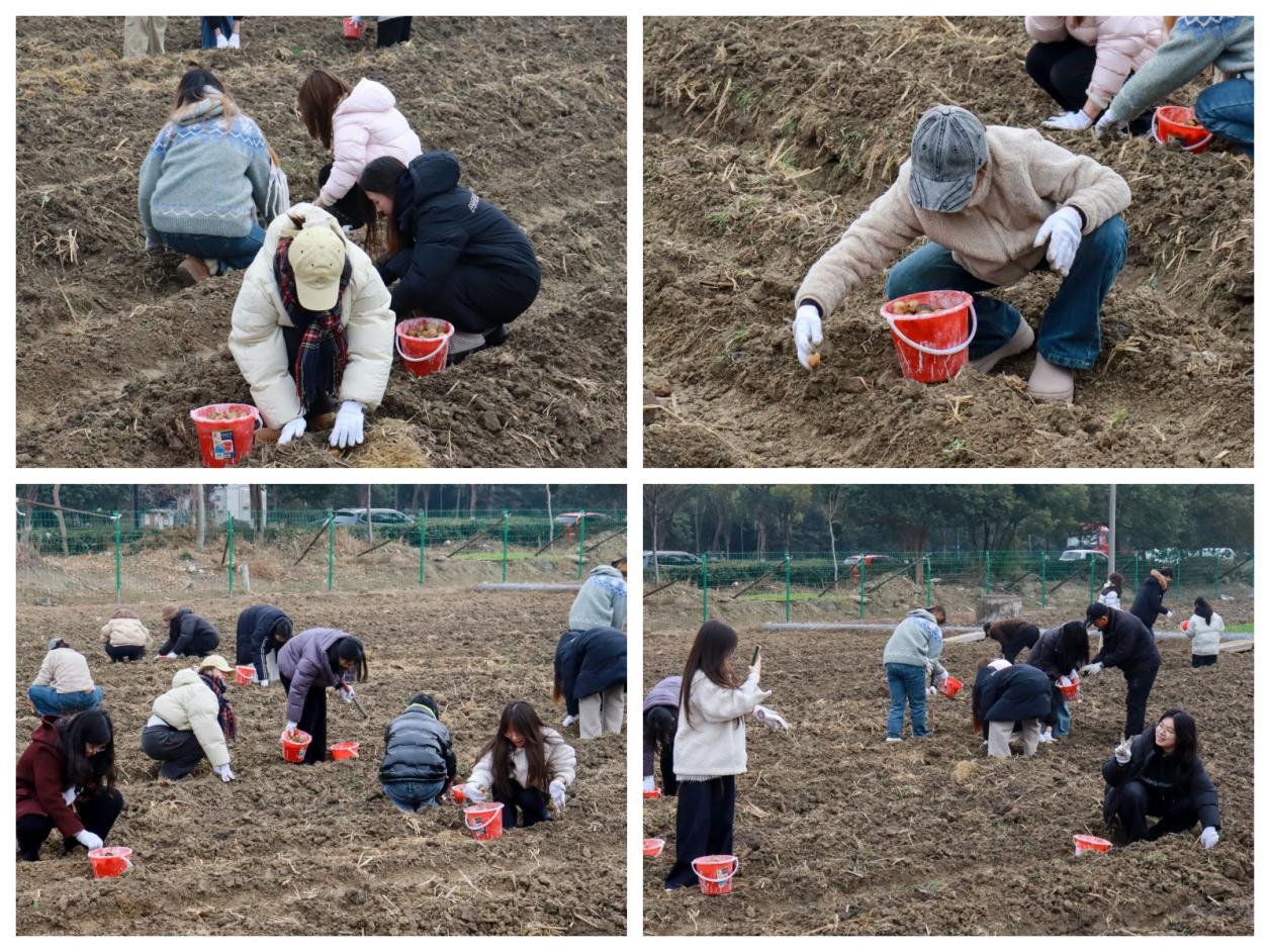 【党建共建】党建引领聚合力 校村共建育新人-首页浙江财经大学东方学院后勤基建部
